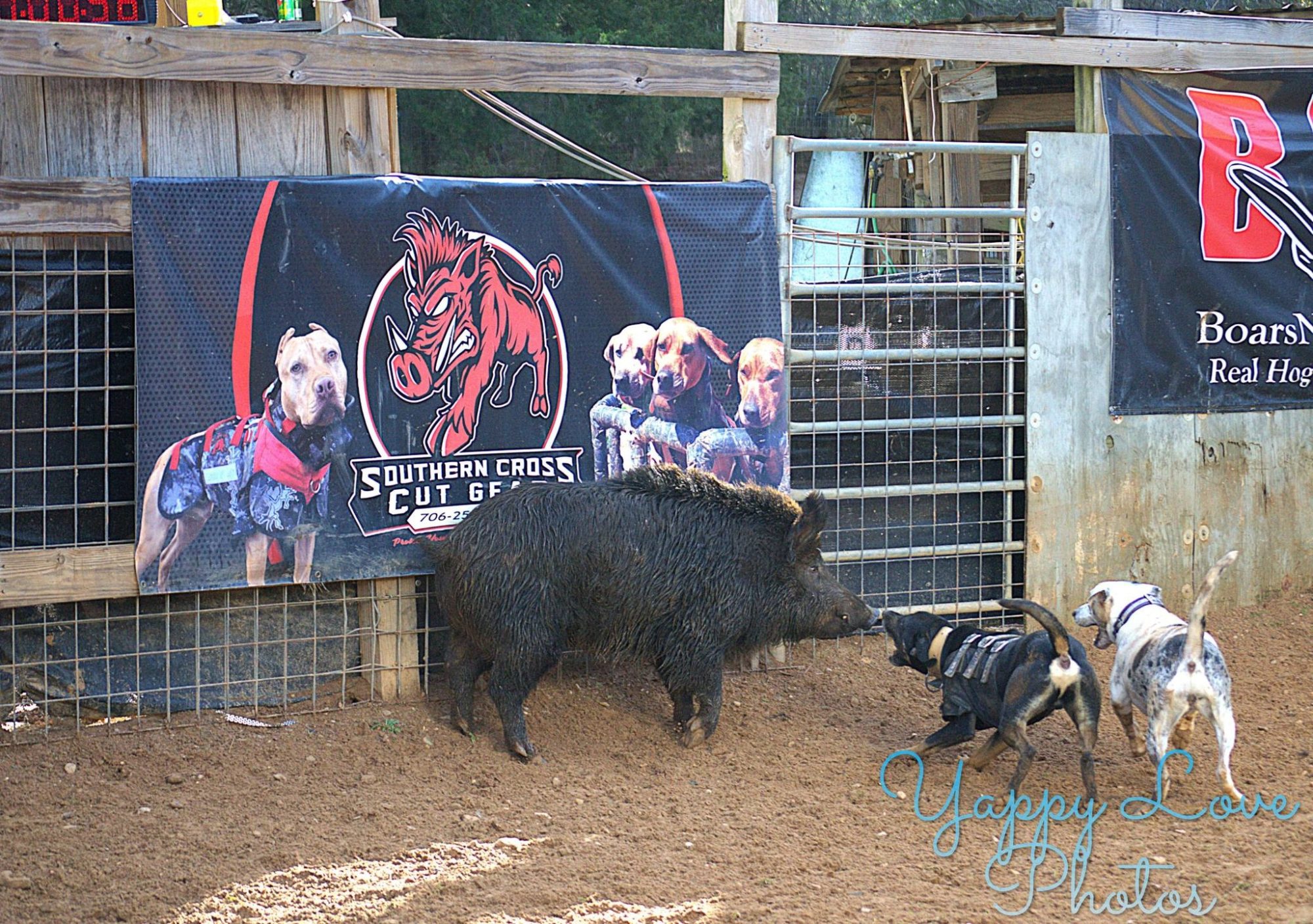 Hogbaying.com – The official website of The World Championship of Hog ...